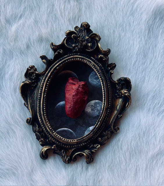 Mummified Bird Hearts in Frames D203 – Morbid Mementos Oddities and Occult