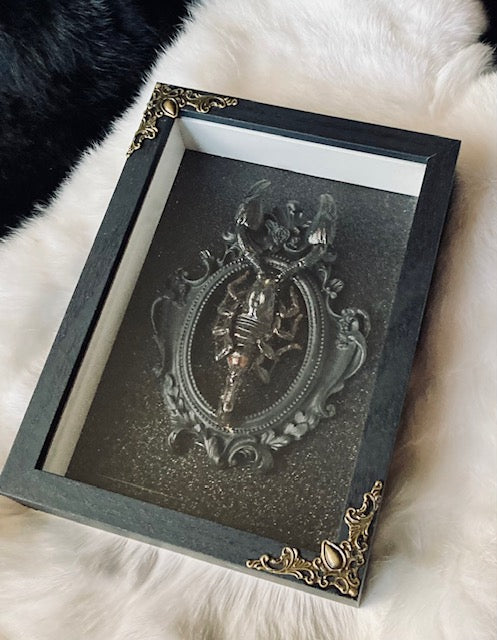 Oddities, Jewelry and Occult – Morbid Mementos Oddities and Occult